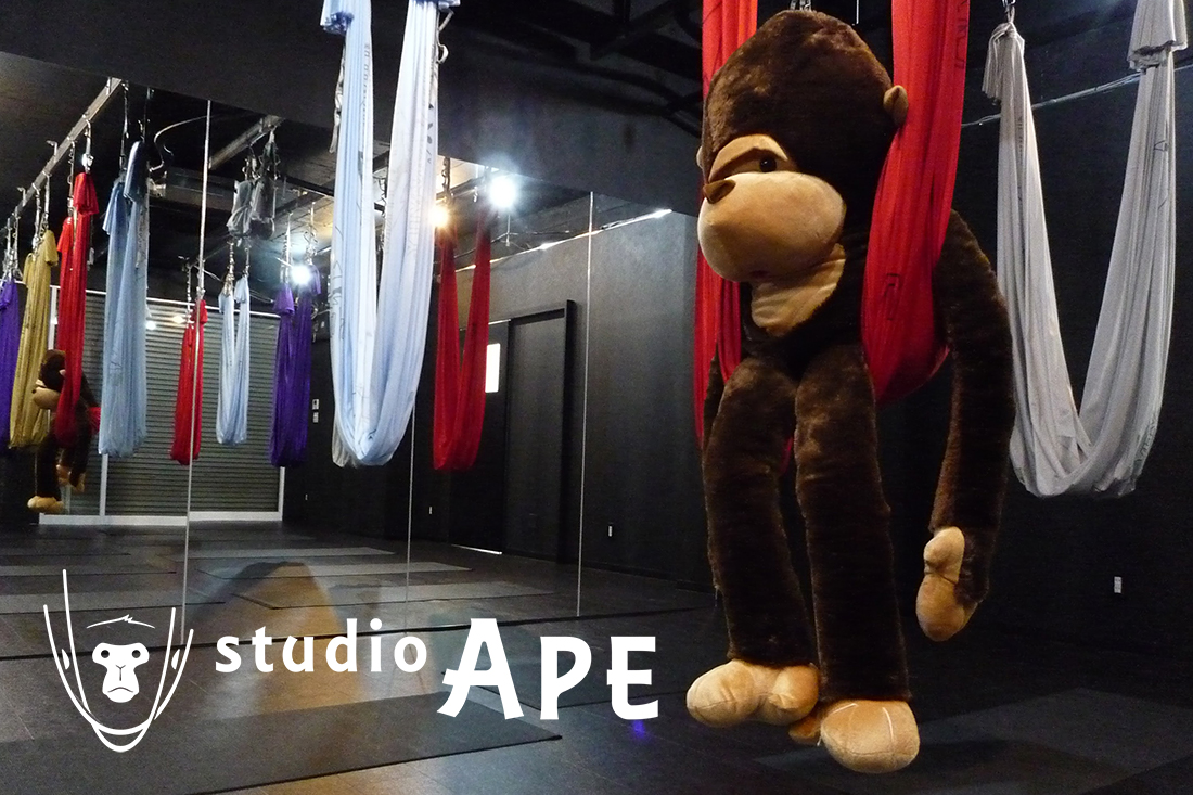 予約 | studio APE 名古屋で空中フィットネス